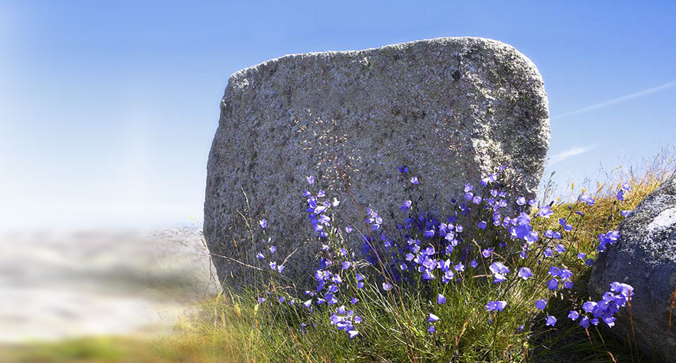 Henry Andersson Stenhuggeri